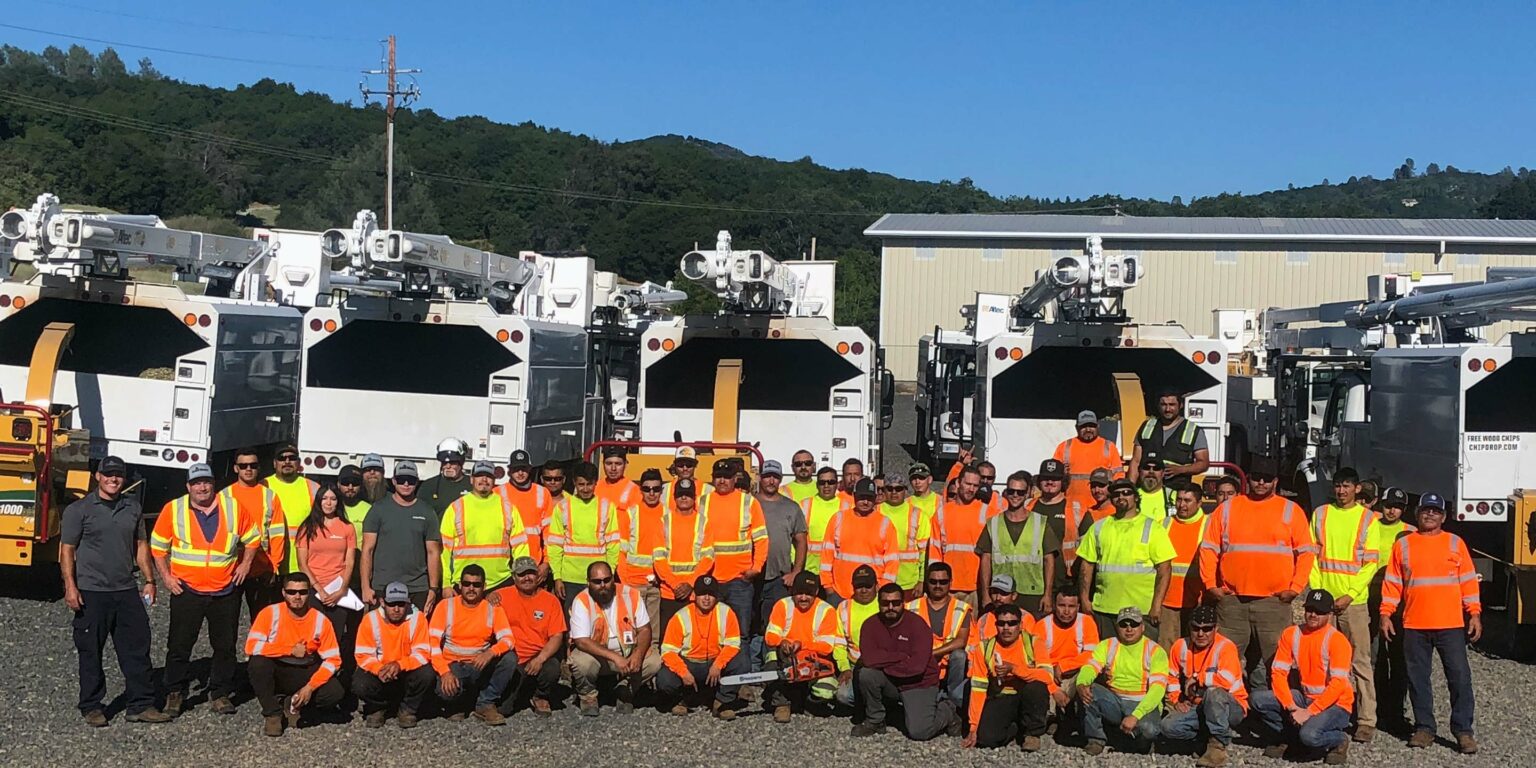 Meet the Team - ArborWorks