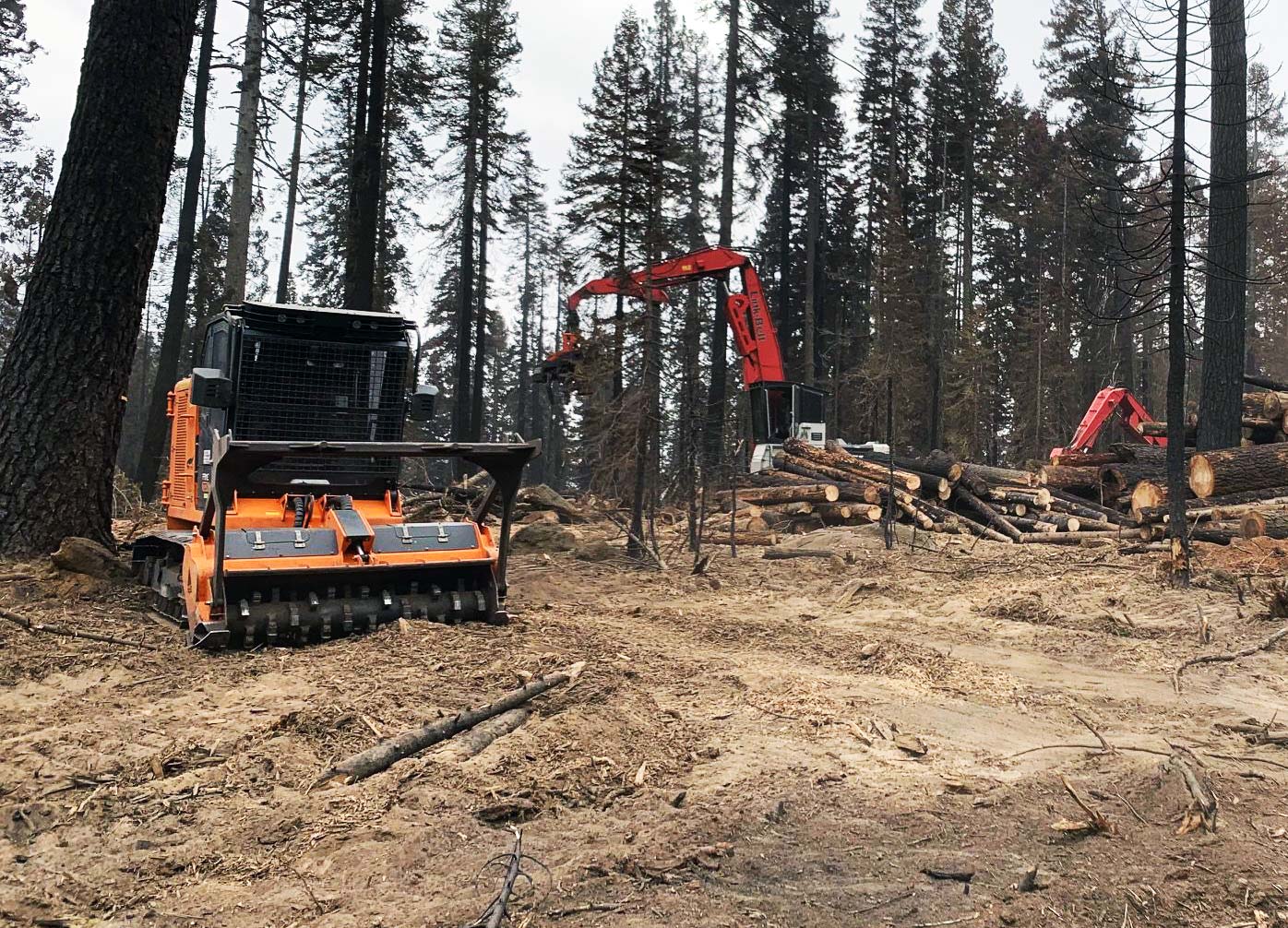 Company - ArborWorks