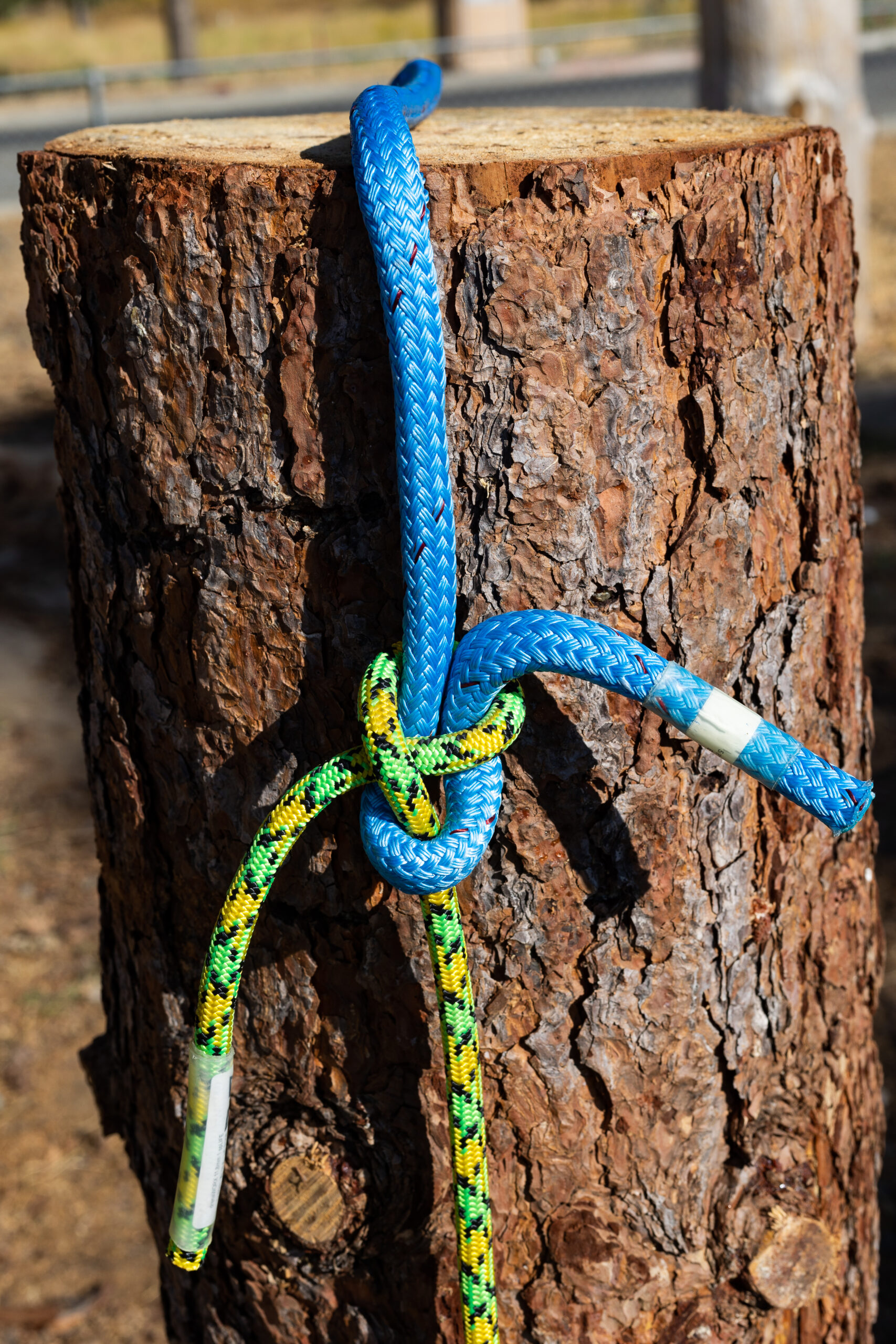 Knots to Know - ArborWorks
