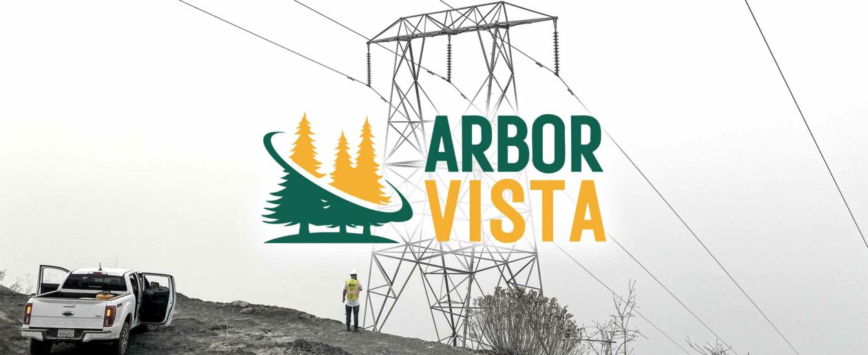 About ArborVista - ArborWorks
